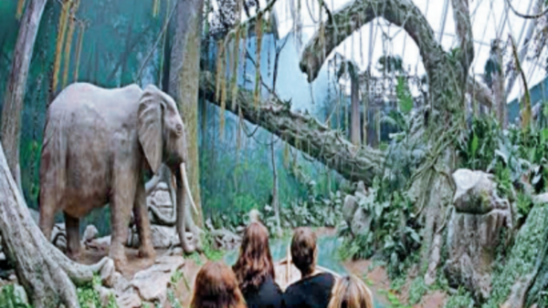 Vmrda: Vmrda Plans Big On Vizag Tourism, Slew Of Novel Projects On The ...