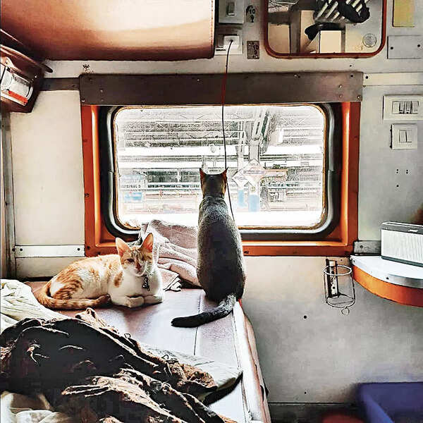 Convenient, hassle-free and affordable: Train is the go-to travel mode ...