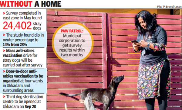 Stray Dog Population Survey Begins Coimbatore News Times Of India Stray Dog Population Survey Begins Coimbatore News Times Of India