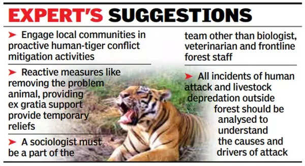 Bihar: 'All problem tigers not man-eaters, Valmiki Tiger Reserve ...