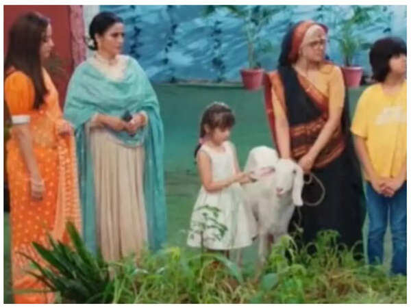 Sargun Kaur Luthra on the recent bizarre track in her show: Sometimes ...