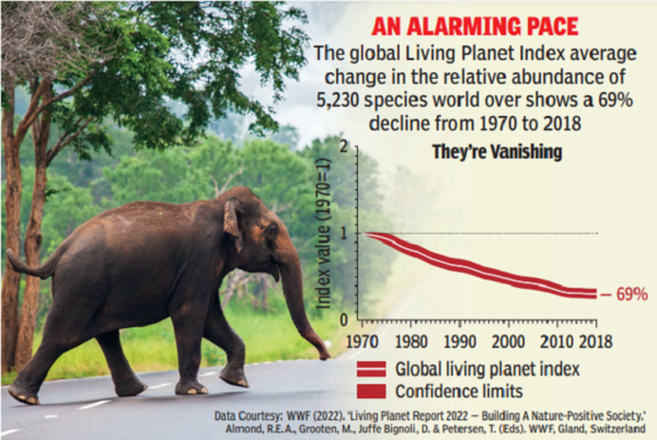 ‘Power over animals has a deep history — it is also about ascendency ...
