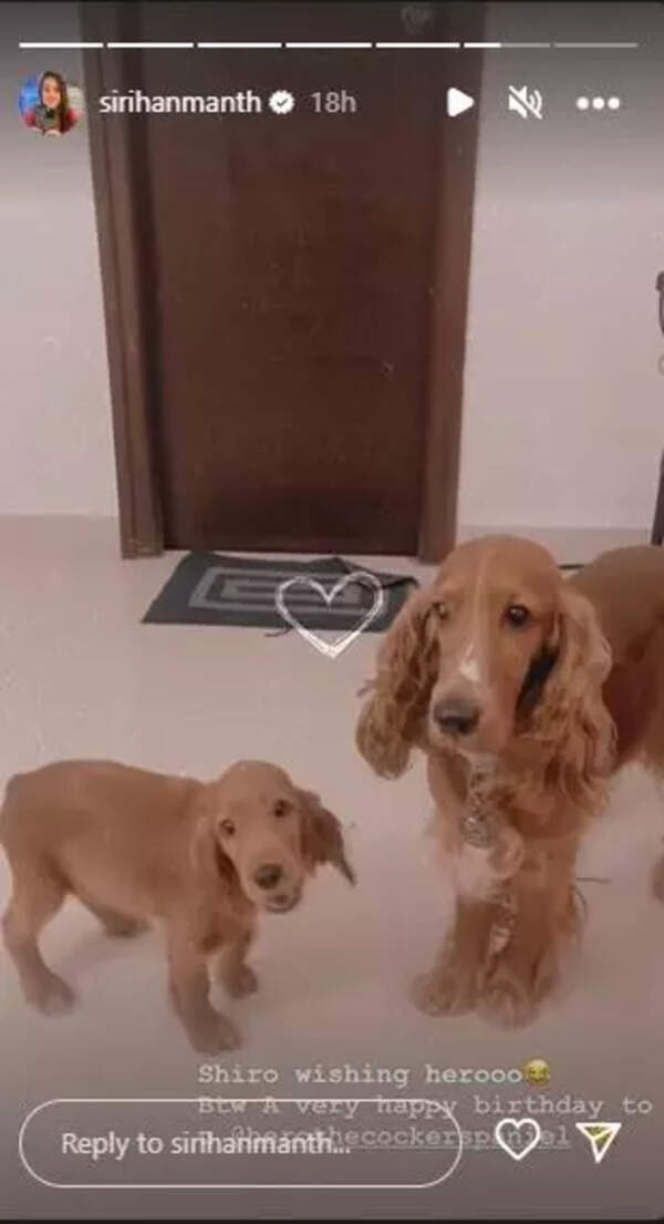 Siri Hanmanth wishes fiance Srihan of BB Telugu 6 fame on birthday with an adorable picture ...