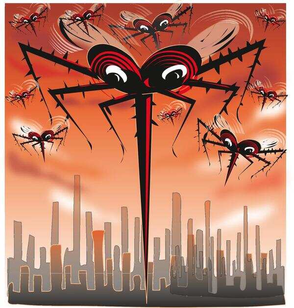 Dengue Breaks 6-yr Record As Tally Increases To 6,733 | Patna News ...