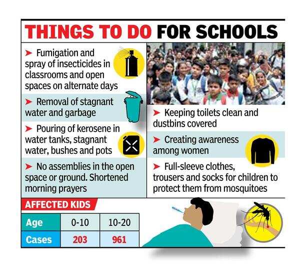 City Schools Take Measures To Protect Kids From Dengue | Patna News ...