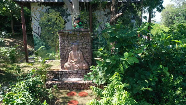 Gujarat: PM Modi to inaugurate Miyawaki forest; here's you all need to ...