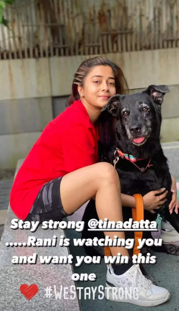 Bigg Boss 16: Actors Mrunal Jain and Vrushika Mehta come to Tina Datta ...