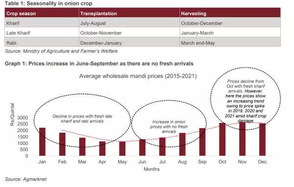 Why onion prices are unlikely to see a significant spike - CRISIL explains - Times of India