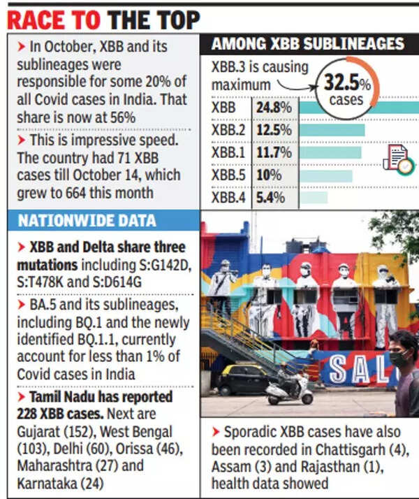 XBB now dominant Omicron strain in country: INSACOG | Pune News - Times of India