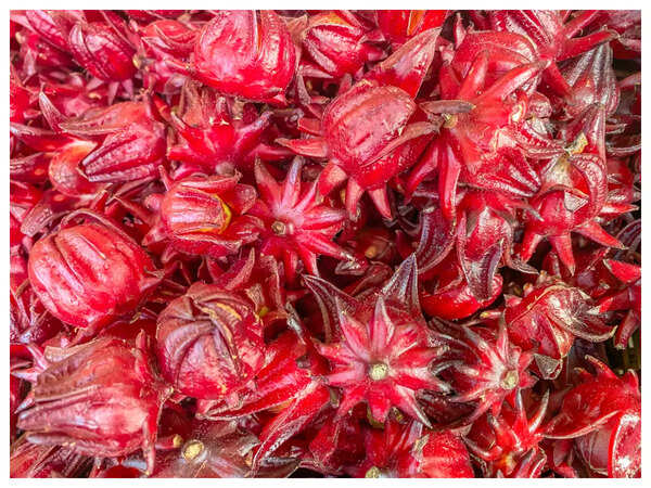 Kudrum, the unexplored winter fruit from Bihar and why the world is ...