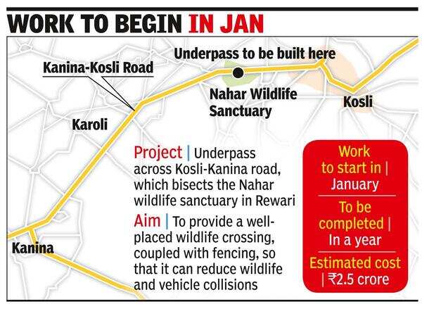 Nahar: An Underpass For Wildlife In Nahar Sanctuary By ’23 End ...