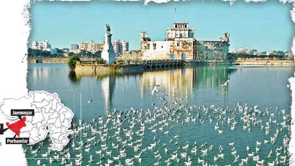 Gujarat elections: Rivaba Jadeja’s entry sets up a riveting battle in ...