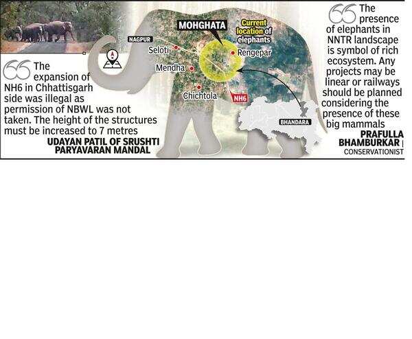 Mohghata: 23 Elephants On Nh6: Greens Demand Raising Height Of ...