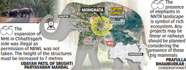23 elephants on NH6: Greens demand raising height of mitigation ...