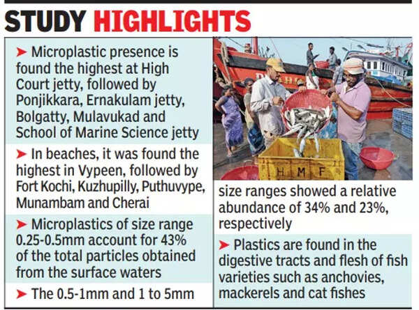 Microplastics: Microplastics Found In Fish Samples | Kochi News - Times ...