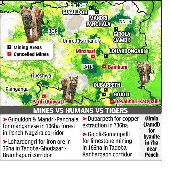 Maharashtra: Six Mines Pose Threat To Tiger Corridors In And Around ...