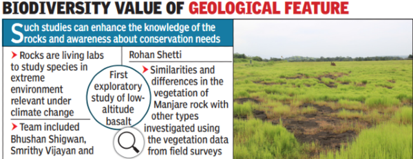 Manjare: Rare low-altitude basalt rock plateau discovered in Thane's ...