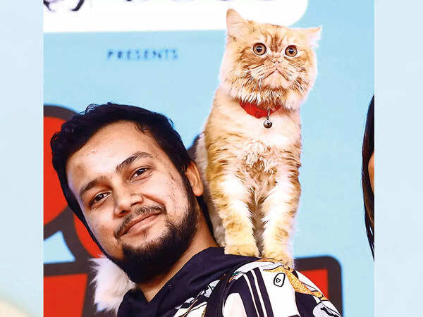 Delhiites party with supawstars at pet festival - Times of India