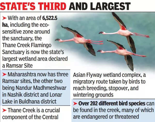 Ramsar: Thane Flamingo Sanctuary now a Ramsar wetlands site | Navi Mumbai News - Times of India
