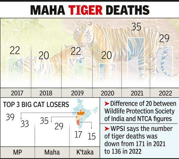 Tiger Deaths In Country Came Down From 127 To 116 In 2022 | - Times of ...