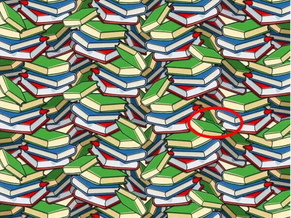 Optical illusion eye test: Find the pencil among the stack of books ...