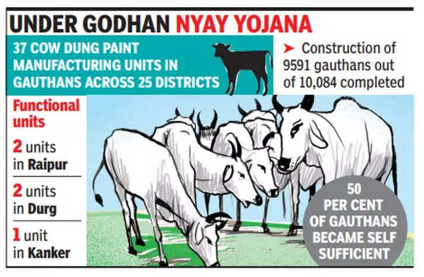 Cg To Set Up 37 Production Units Of Cow Dung Paint: Cm | Raipur News ...