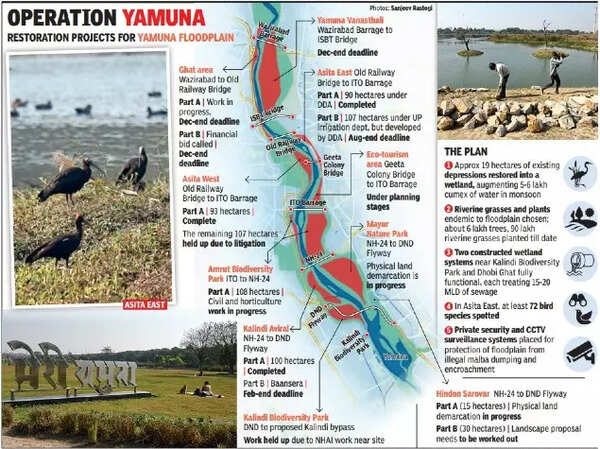 Riverside story: DDA targets completion of 5 projects on floodplain by ...