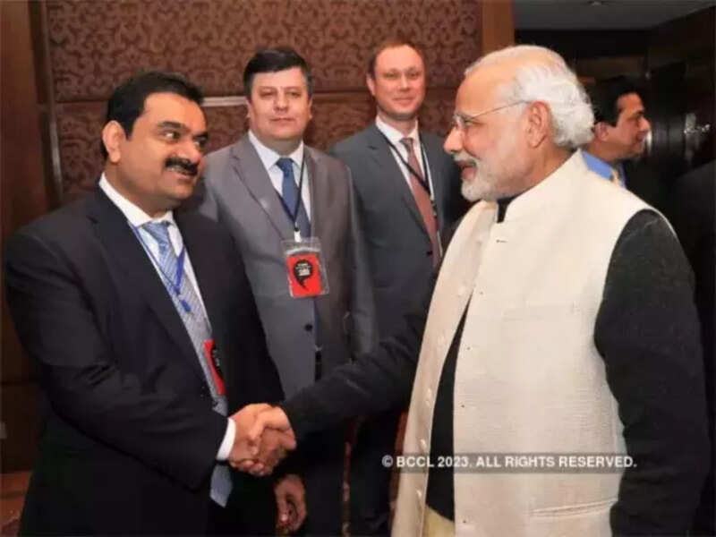It isn't Adani's money but capacity that is India's worry - The Times ...
