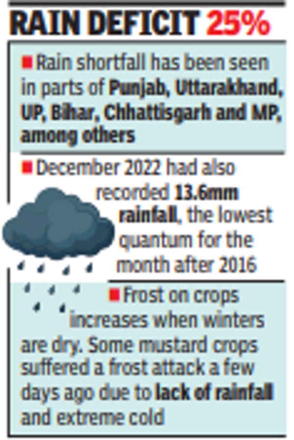 India's January rain hits 5-year low, can impact rabi crops: Experts ...