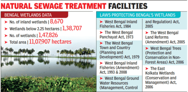 'Incentive to locals should help protect East Kolkata wetlands from ...