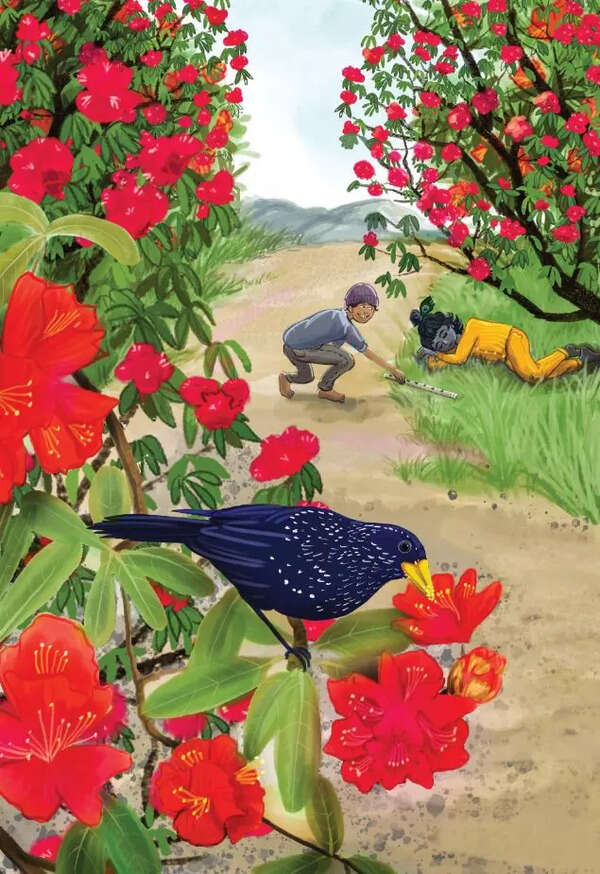 Titli Trust: ‘Wondrous Himalayan birds face the threat of extinction ...