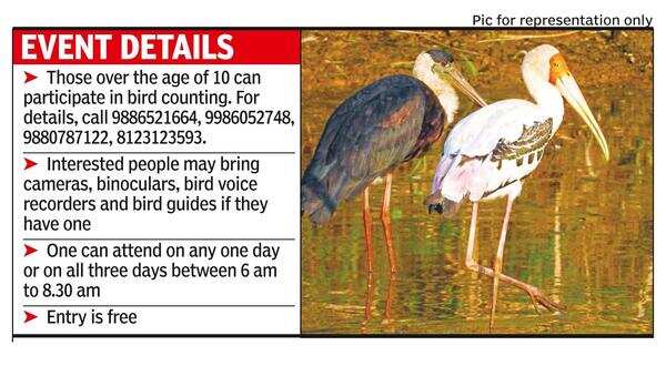 Dharwad: Birders Gear Up For ‘great Backyard Bird Count’ In Dharwad ...