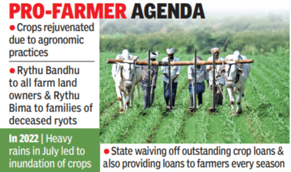 Agronomic practices helped rejuvenate inundated crops: Telangana ...