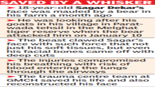 Trauma centre saves 18-year-old bear attack victim's life and face in ...