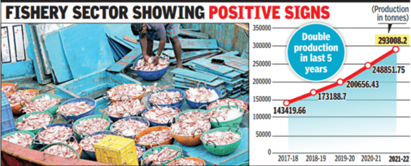 Madhya Pradesh: Mp Doubles Fish Production In Last 5 Years | Bhopal ...