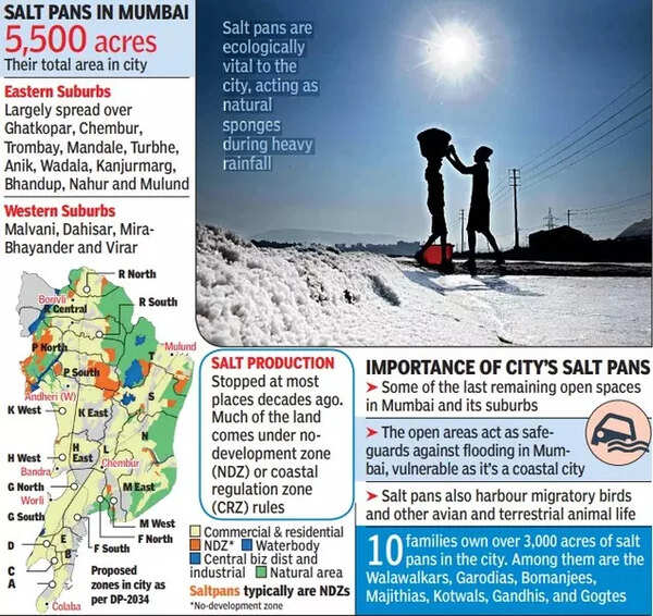 Will use salt pan lands for Mumbai slum rehabilitation: Devendra ...