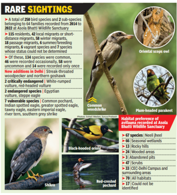 Study finds 250 avifauna species at Asola Wildlife Sanctuary, 2 of them new to the Delhi | Delhi ...