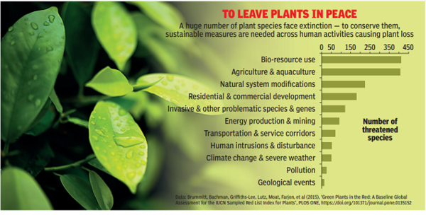 ‘Plants turned Earth green 450 million years ago — flowering species ...
