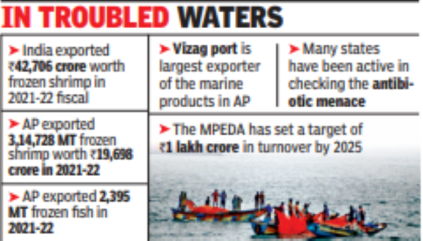 Fishing activities on AP coast decline, fishermen blame high diesel ...