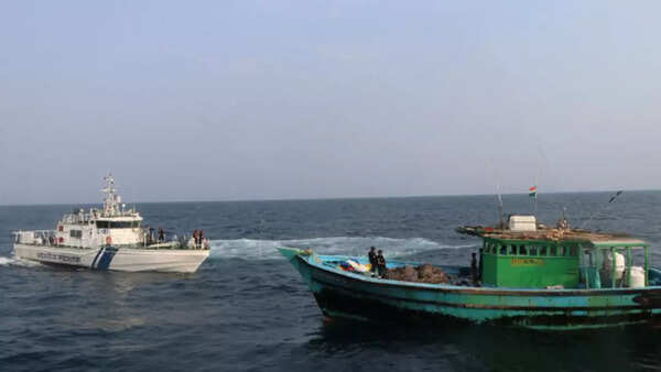 Dolphin poaching racket busted off Porbandar coast; 10 fishermen ...