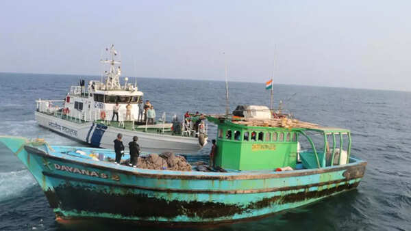 Dolphin poaching racket busted off Porbandar coast; 10 fishermen ...