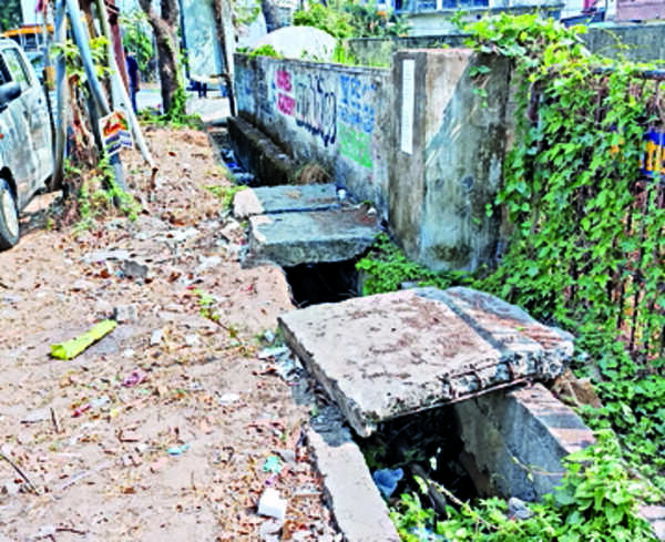 Kochi: Corp Yet To Start Drain Cleaning Works | Kochi News - Times of India