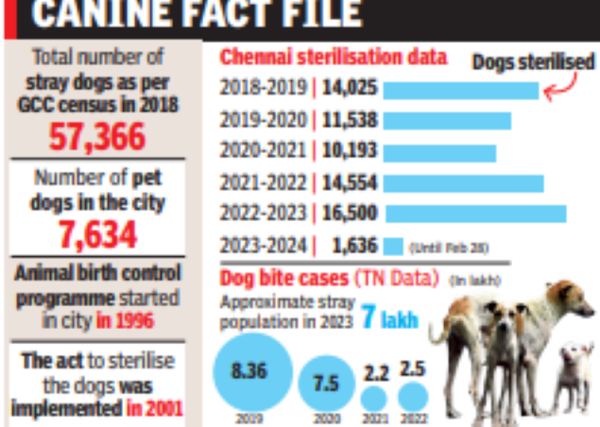 Humans in conflict over dogs in Chennai | Chennai News - Times of India
