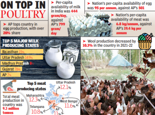 Andhra Pradesh: Ap Wool Production Nil As Focus Shifts To Meat Mkt ...