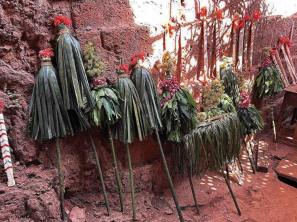 Dinya Jatra: Dinya Jatra: Bachelors’ dance for blessing, marital bliss ...