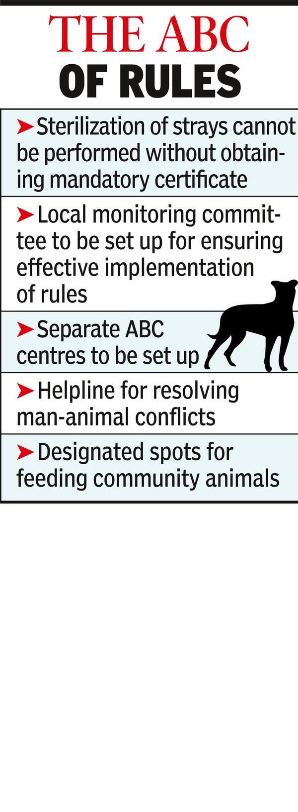 Abc: Amended Abc Rules Put Onus On Nmc | - Times of India