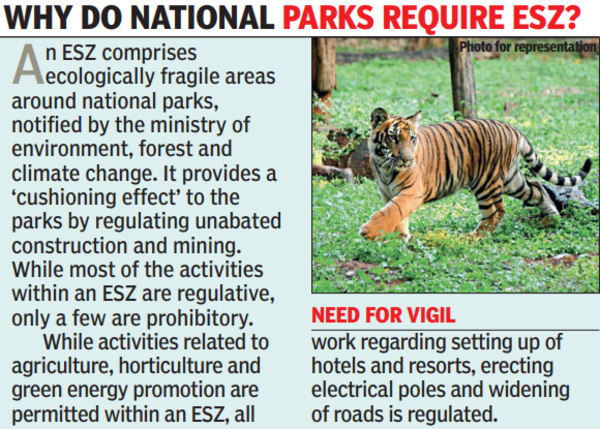 Flawed ESZ implementation harming reserves in Karnataka: Activists ...