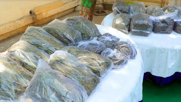 Tirupati Police arrests 20 ganja smugglers, seizes 22 kgs of contraband ... Tirupati Police arrests 20 ganja smugglers, seizes 22 kgs of contraband ...