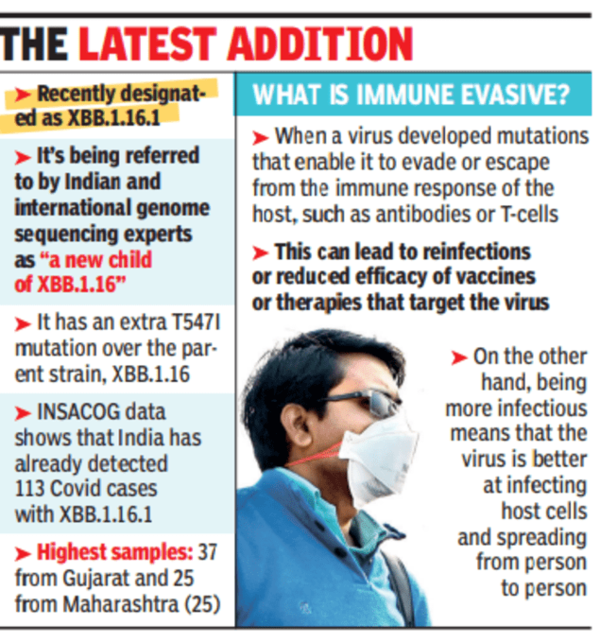 Mutations Of Xbb.1.16a Worry, Say Experts | Pune News - Times of India