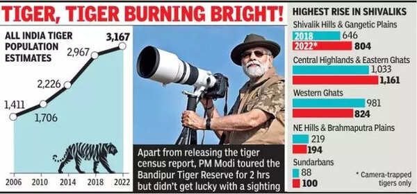 India Tiger Population 2023: India adds 200 tigers in 4 years; 3167 now ...